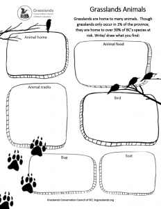 Activities for Kids - Grasslands Conservation Council of BC