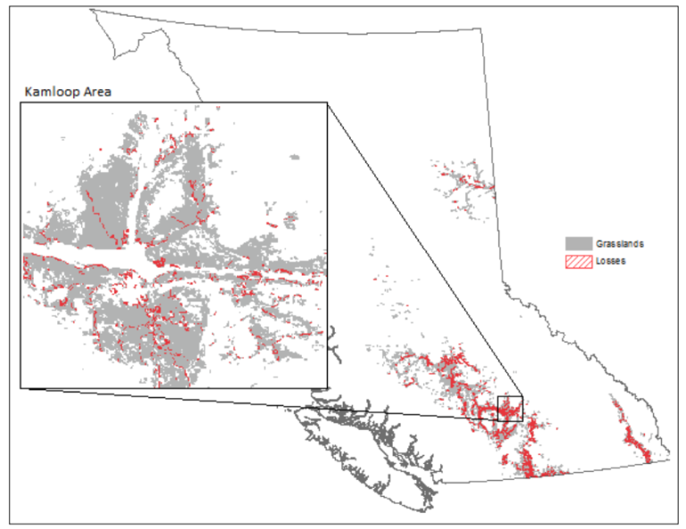 Mapping Grassland Boundaries and Losses - Grasslands Conservation ...