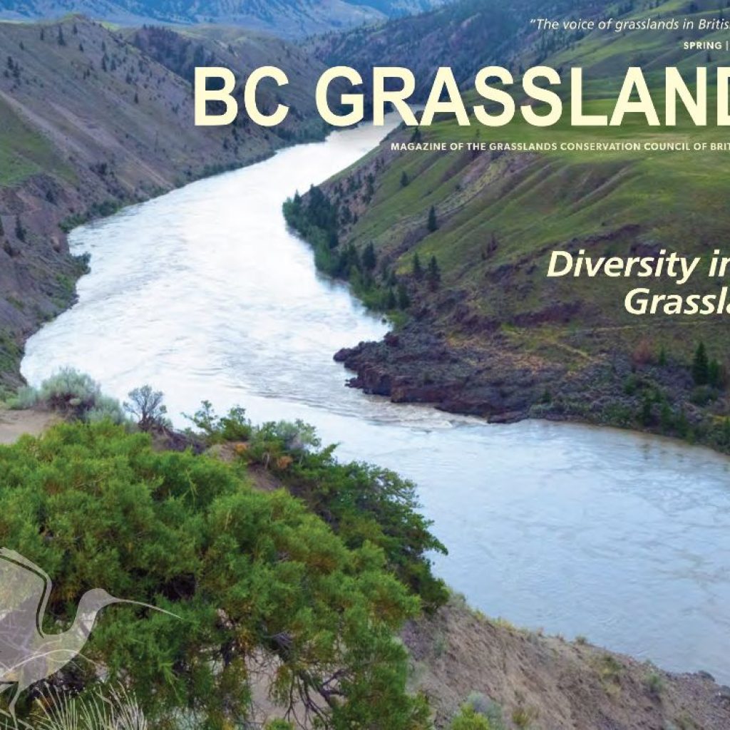 Proposed Mine on Record Ridge Grasslands - Grasslands Conservation ...