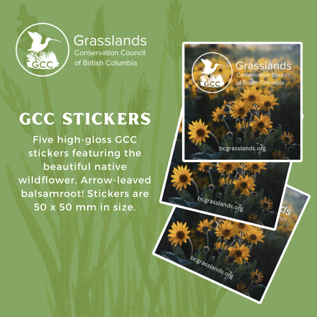 Home - Grasslands Conservation Council of BC