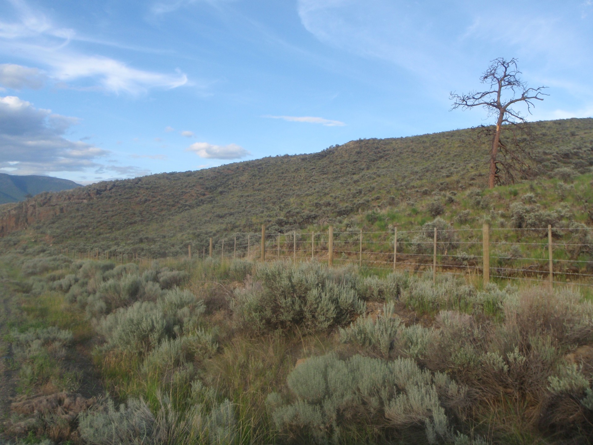 Home - Grasslands Conservation Council of BC