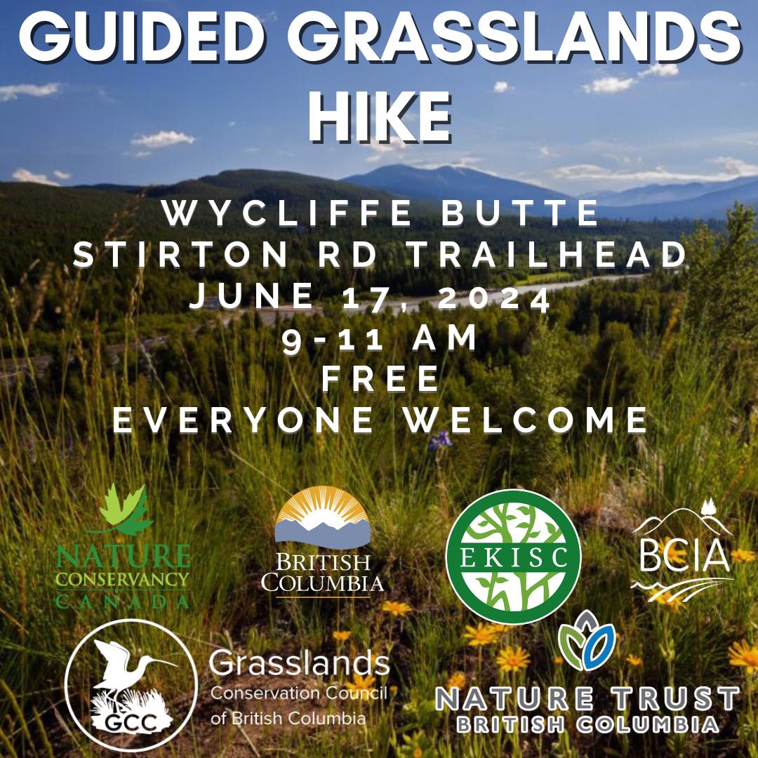 Guided Hike at Wycliffe Butte June 17 2024 - Grasslands Conservation ...