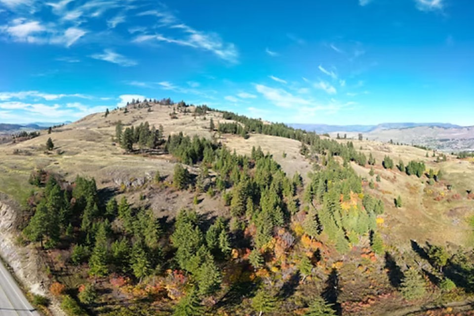 Vernon Commonage Preservation: A Call for Grassland Conservation