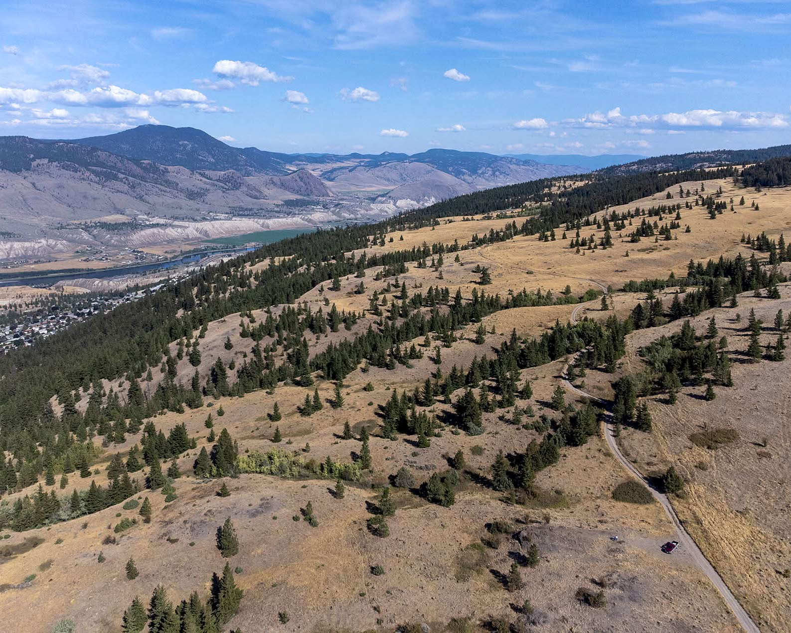 517 Acres of BC Grasslands Protected: Community Fundraising Success ...