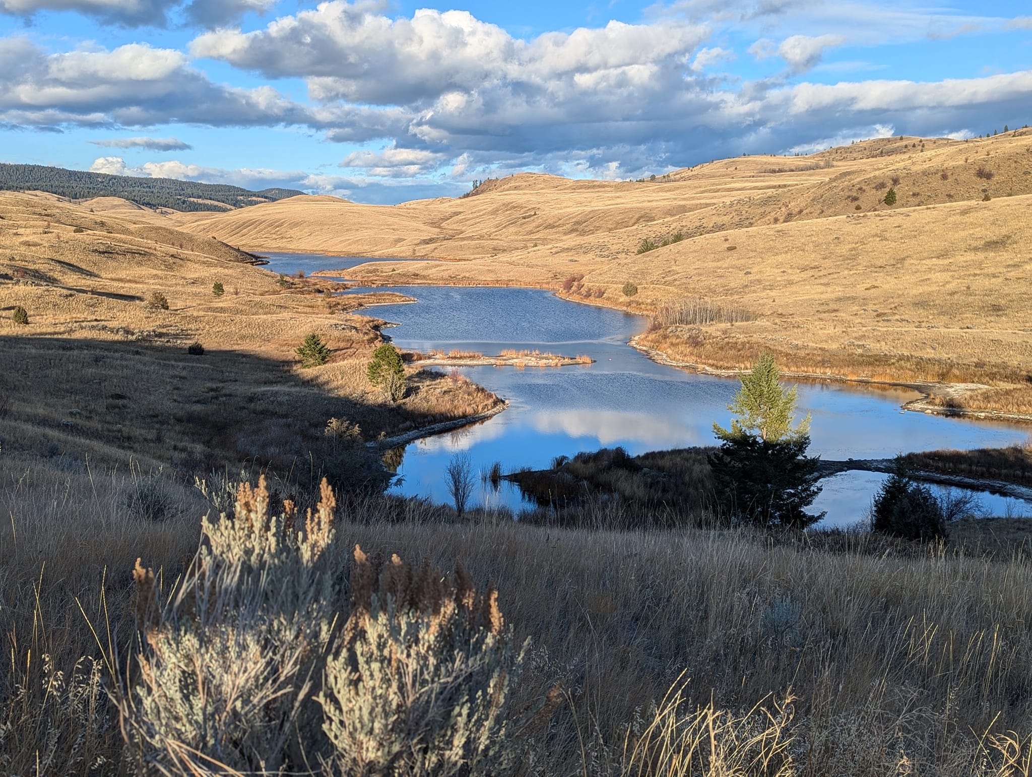 Discover Lac du Bois: June 7 2025 - Grasslands Conservation Council of BC